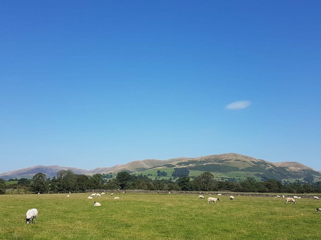 About – Holme Farm Camping
